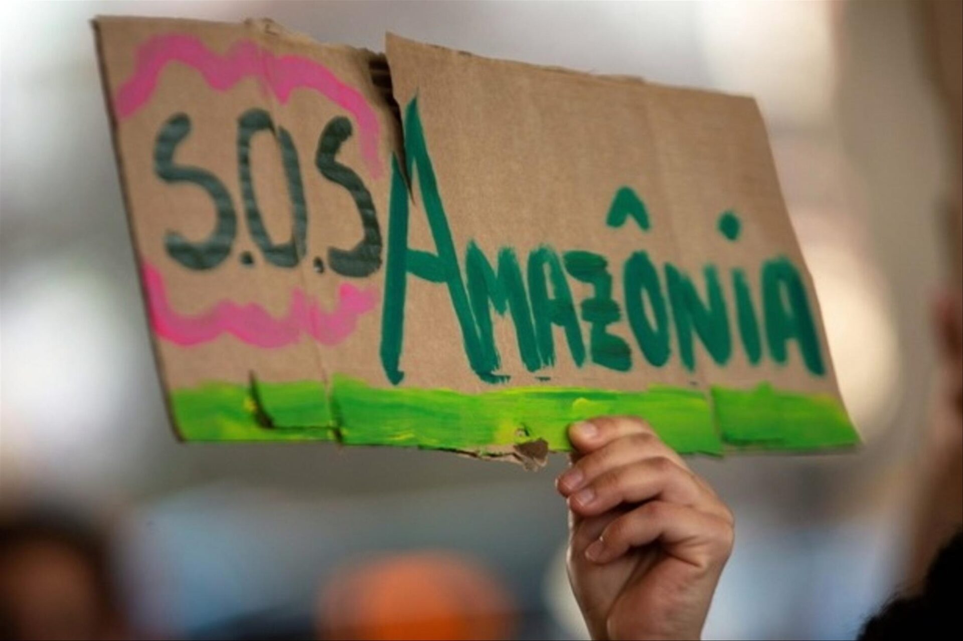 Reunião no Brasil define medidas para salvar a Amazónia