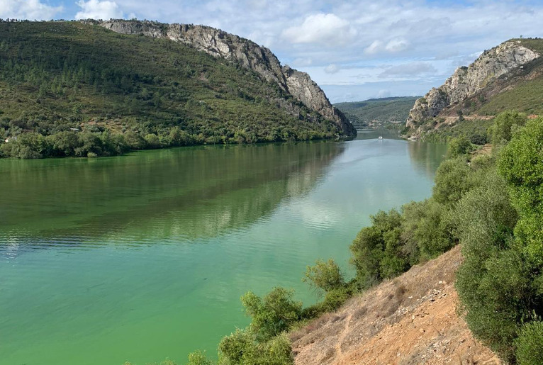 Água do rio Tejo está verde - Plataforma Media